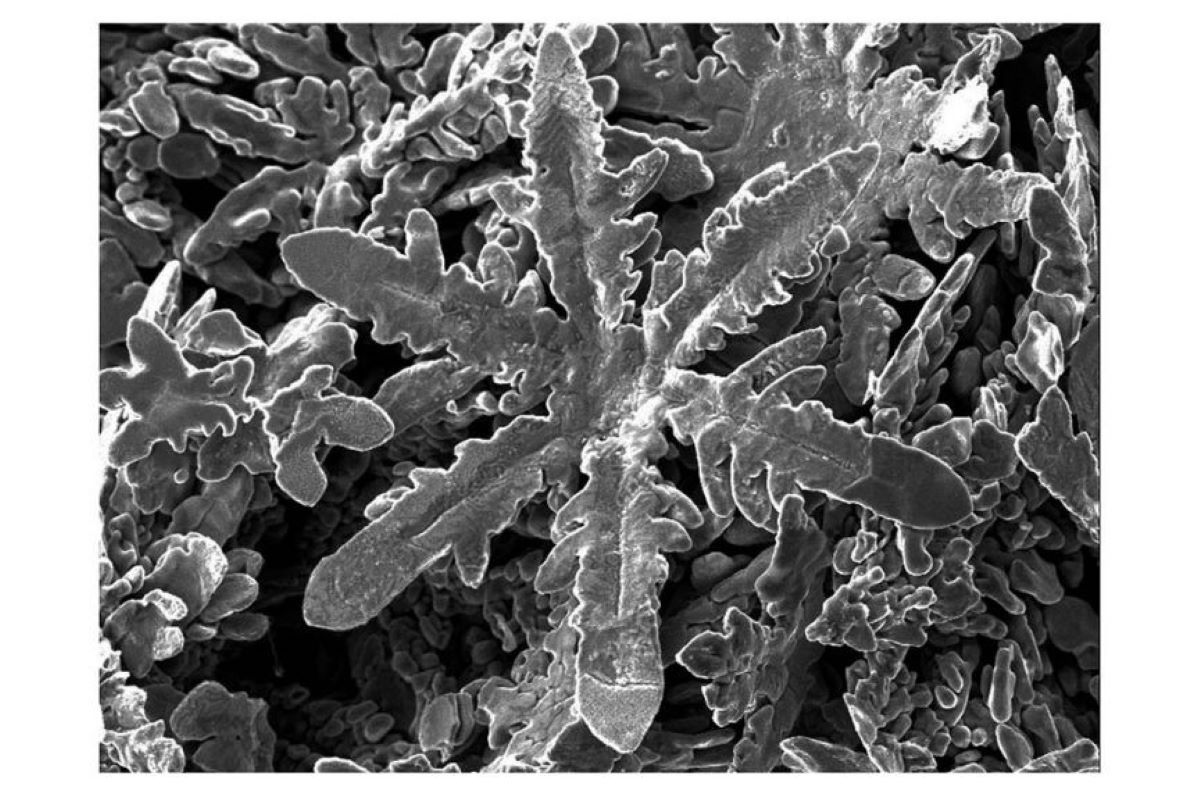 金属製の「雪の結晶」を作り出す科学実験 | Forbes JAPAN 公式サイト（フォーブス ジャパン）